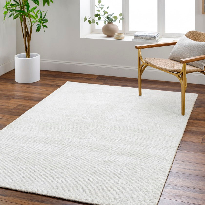 Jett Solid And Border Light Silver Area Rug - Modern Grace