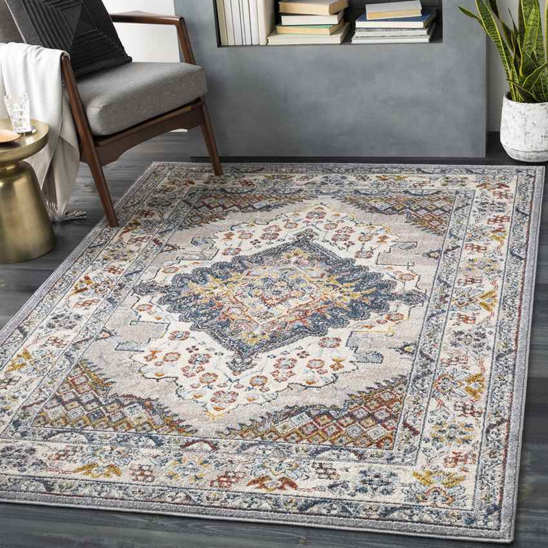 Var Traditional Gray Area Rug - Classic Elegance