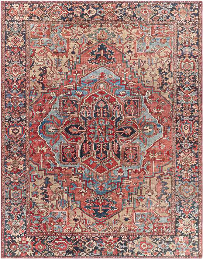 Manche Traditional Bright Multi-Colored Area Rug