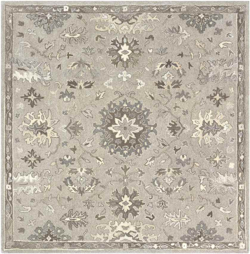 Ness Traditional Taupe Area Rug - Chic & Elegant